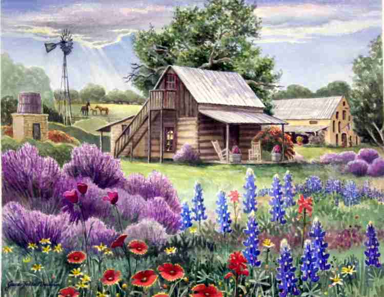 Texas Wildflowers Art - Landscape Art Gallery - Texas Artists